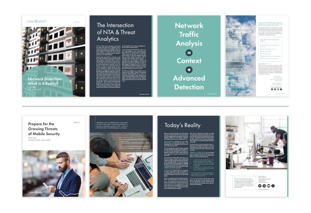 Case Study: Cyber adAPT | ConceptDrop